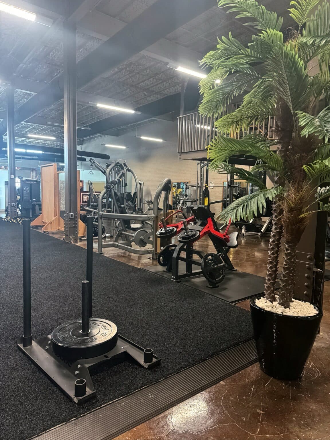 Downtown Iron Gym's Gallery in Tyler, TX